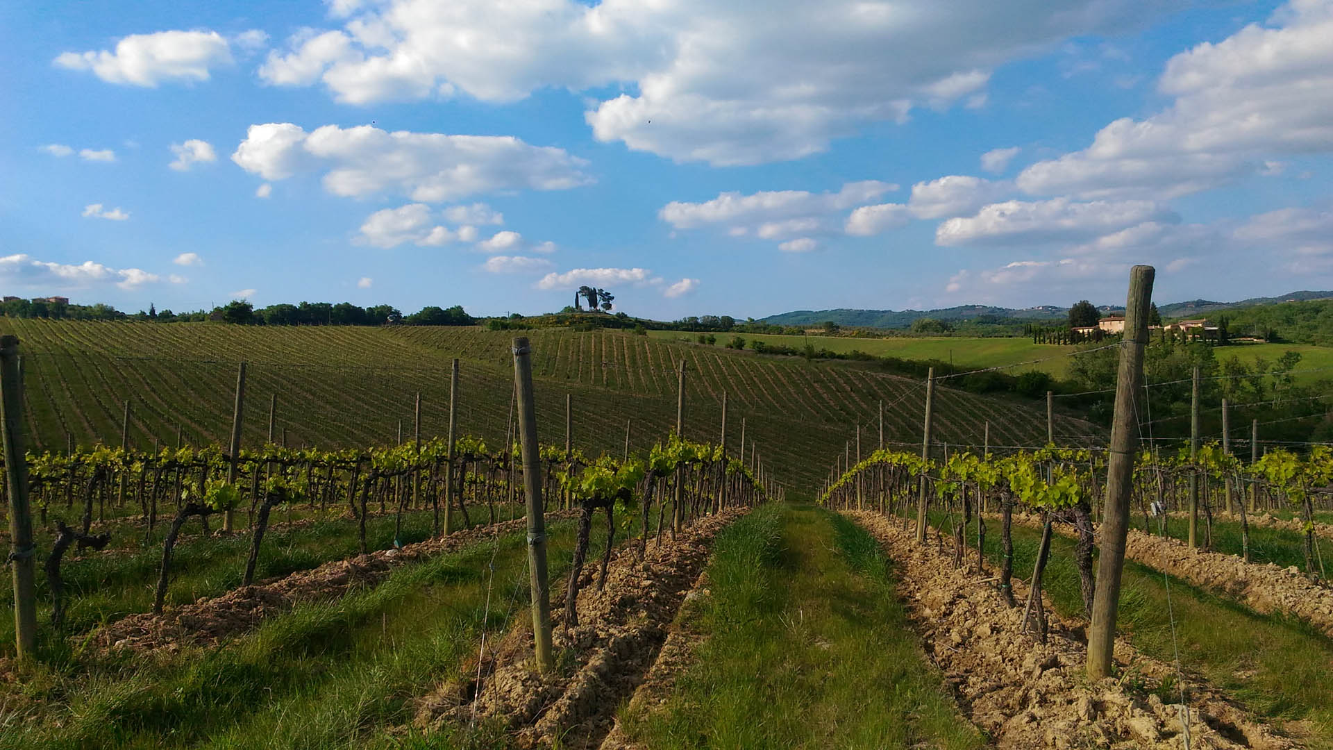 chianti-tour - walkingtourfederica